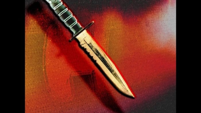 Fight at Port Huron bonfire ends with fatal stabbing