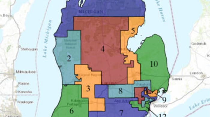 Michigan voters approve anti-gerrymandering proposal