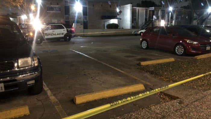 Teen shot to death in Spring Branch, police say