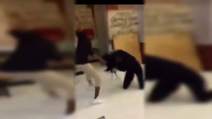 Viral video shows fight in cafeteria at Lake Shore Middle School
