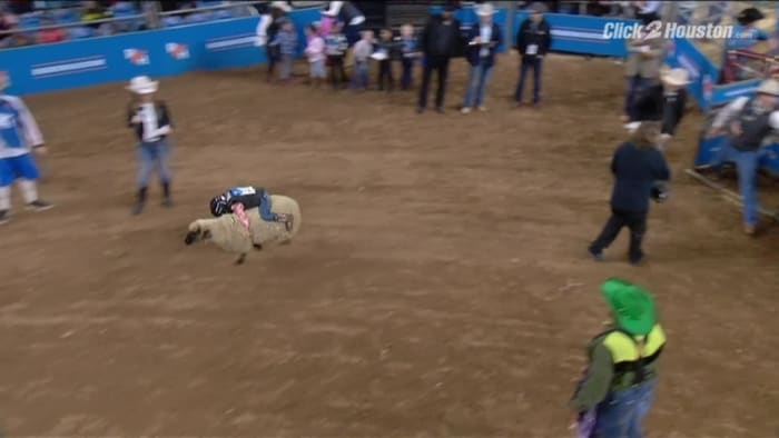 Yee-haw! Houston Rodeo opens Mutton Bustin' registration