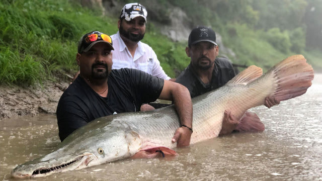 big fish river