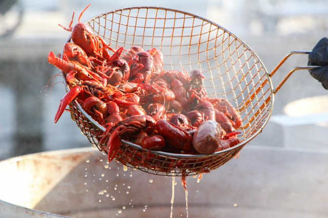 Crawfish seasoning 101: This is the correct way to cook crawfish ...