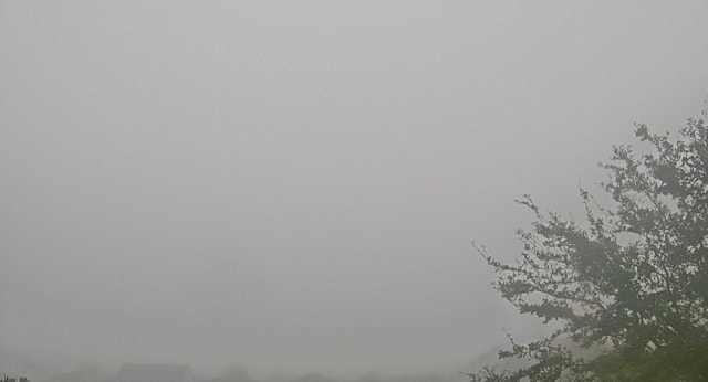 The blinding science: Why high beams in fog worsens visibility