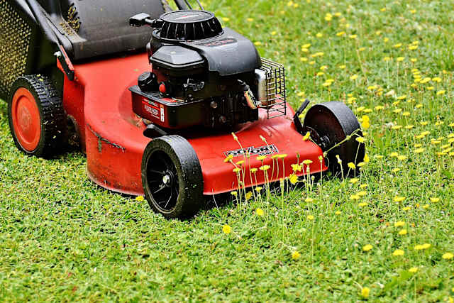 lawn mower article