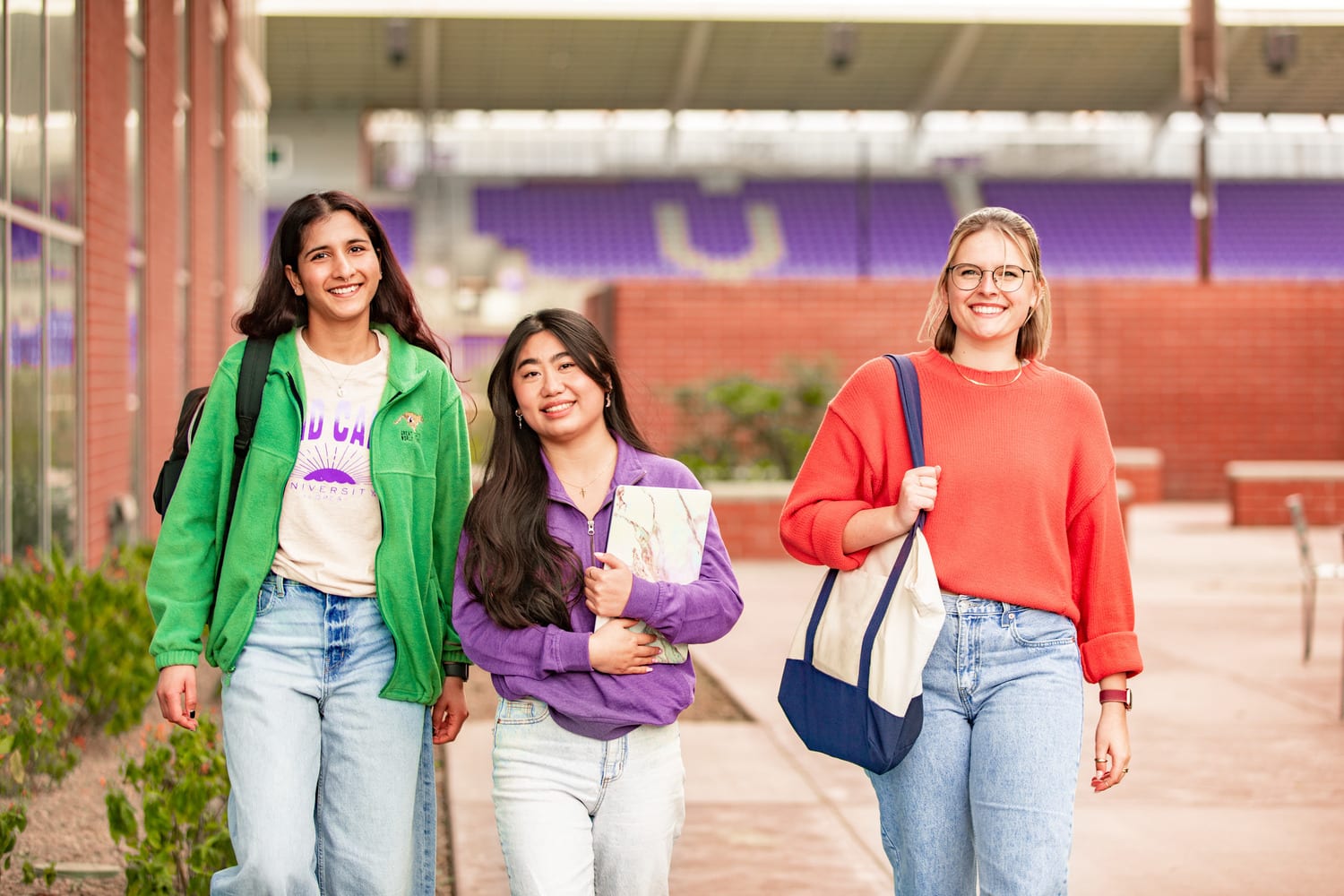 Undergraduate Minor Degrees | GCU