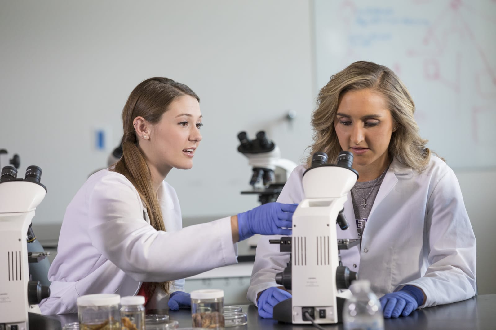 Bachelor’s Degree in Environmental Science | GCU