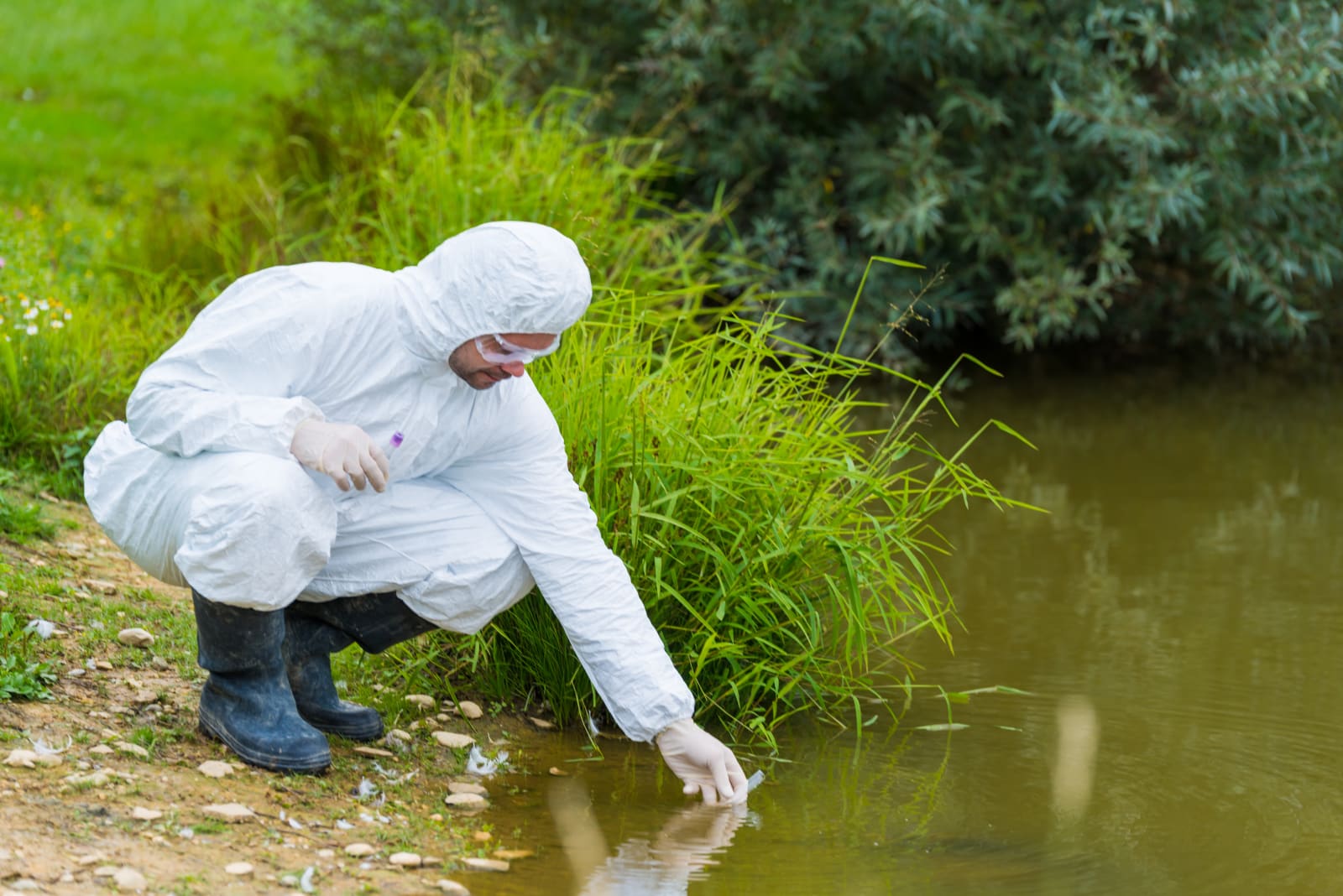Environmental Chemistry: BS in Environmental Science | GCU