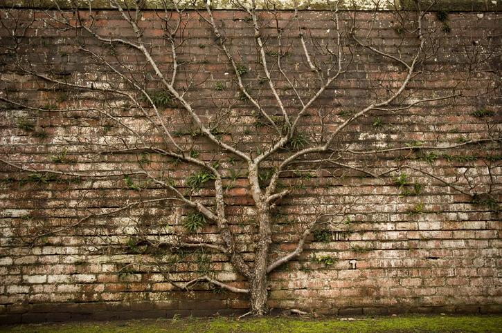 Theology Thursday: Skeletons in Jesus’ Family Tree | GCU Blog