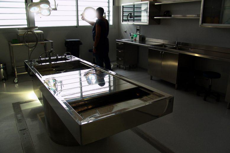 Bringing Anatomy to Life in GCU’s Cadaver Lab | GCU Blogs