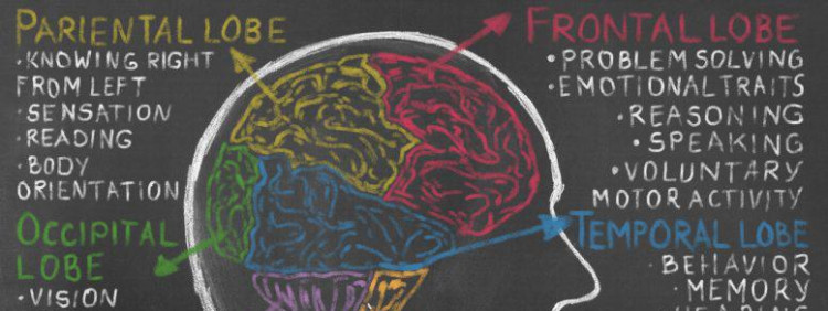 Brain Engagement: Look at Classroom Experiments | GCU Blogs