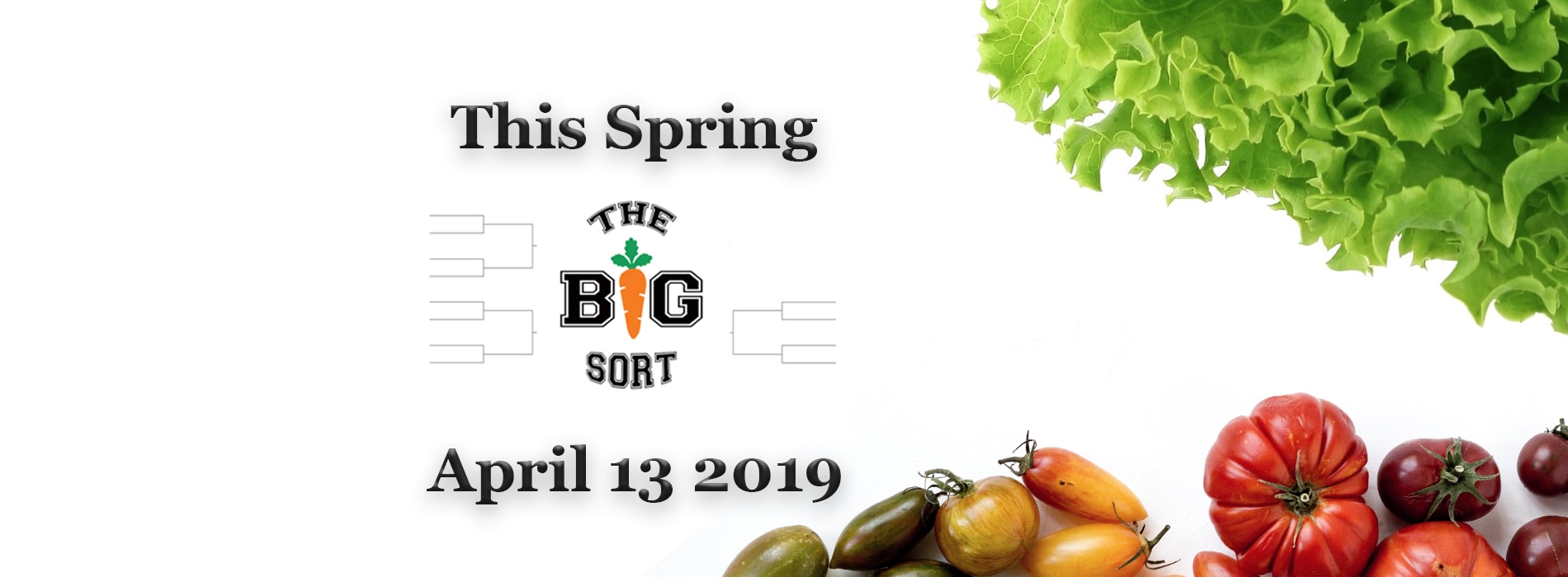 The Big Sort Spring 2019
