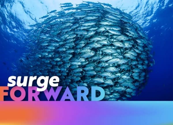 Surge Forward