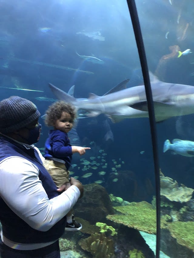 Surge Forward - Sam Carson