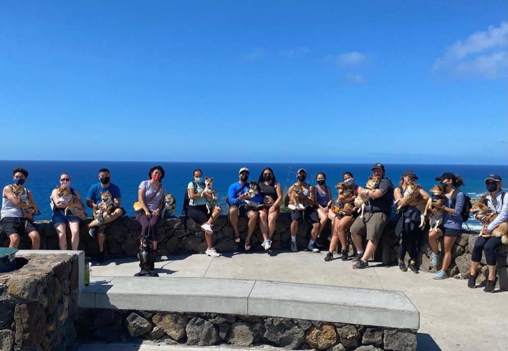 PetWalk 2022 - Shiba Inu Club of Oahu