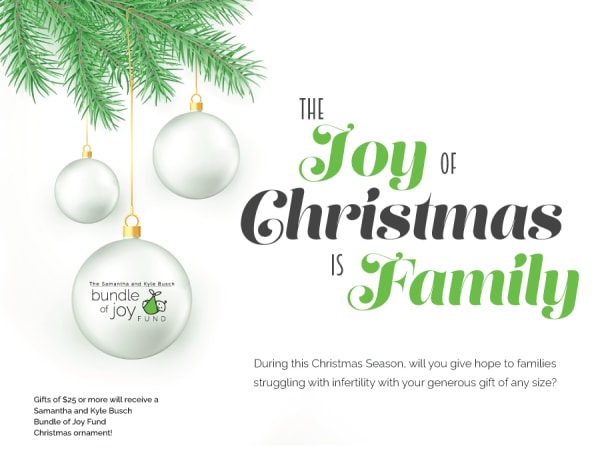The Joy of Christmas is Family
