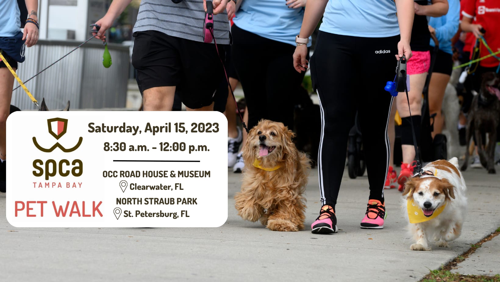 2023 Pet Walk petwalk2023