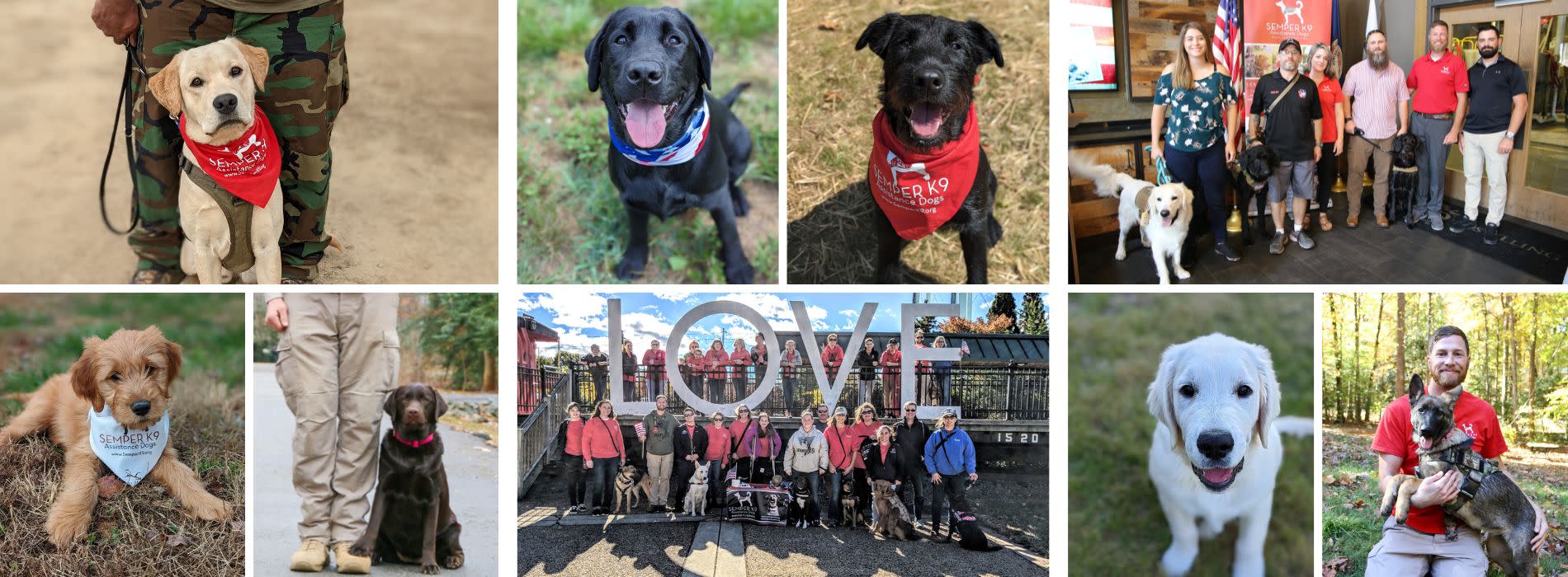 Support Semper K9's Life-Saving Mission: Donate