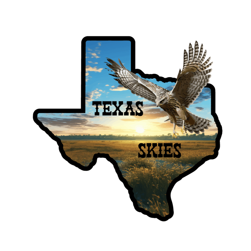 2025 Sam Houston Area Council Friends of Scouting Campaign -Building ...