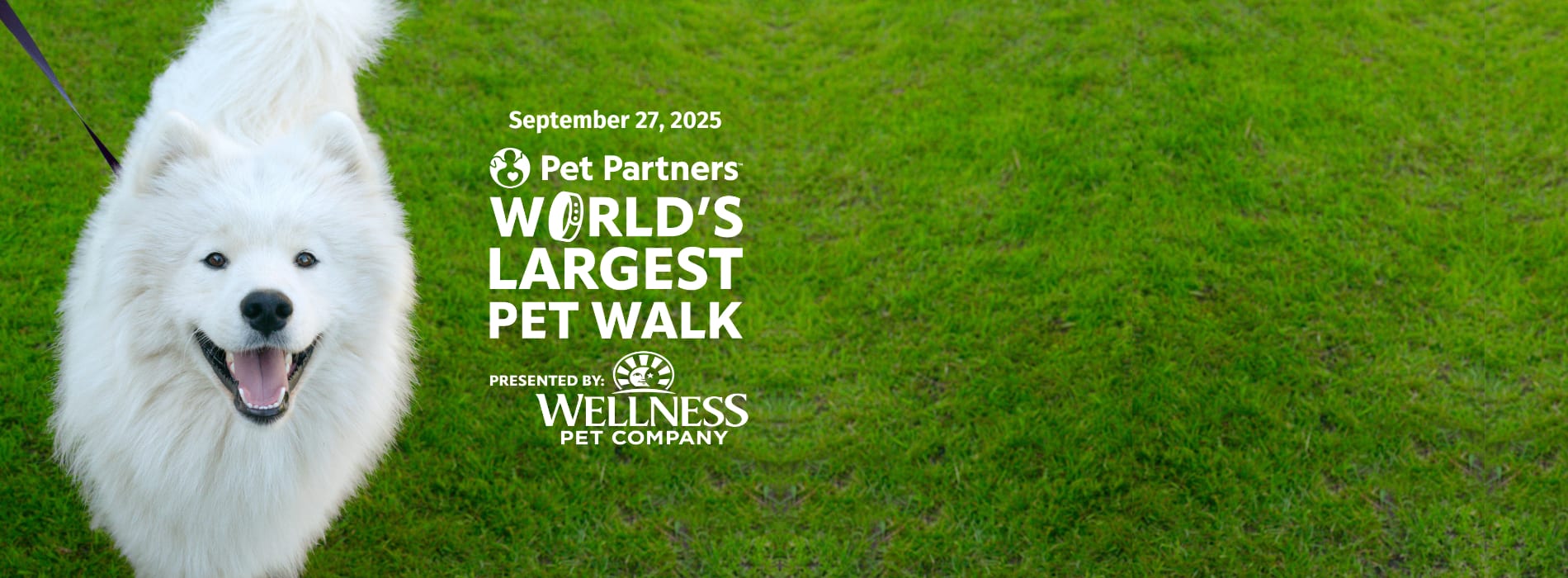 World's Largest Pet Walk 2025 - Taylor Chastain Griffin