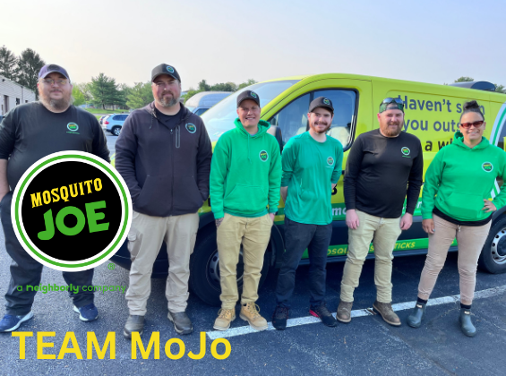 GiGiFIT Acceptance Challenge 2023 - Team MoJo