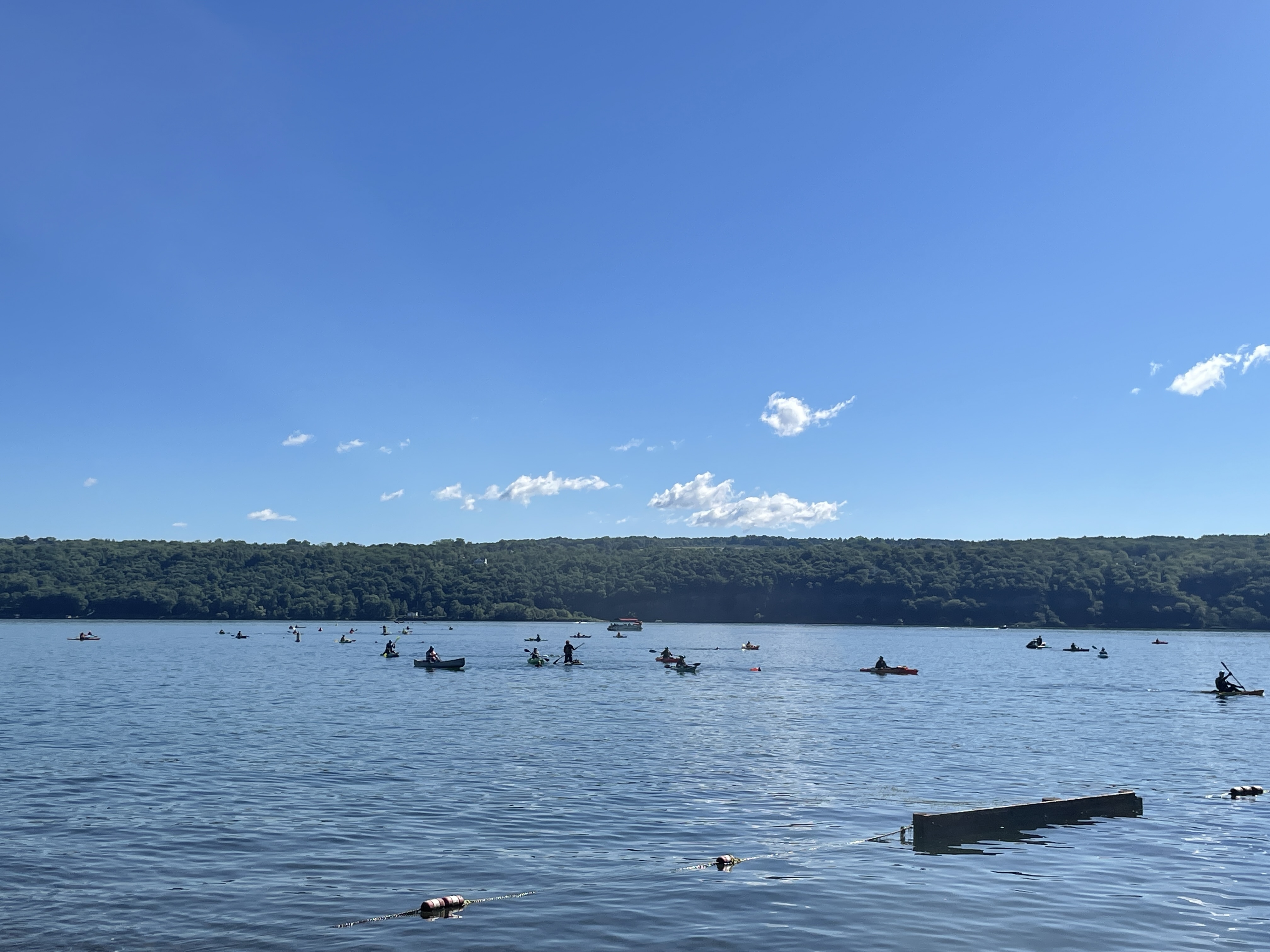 2023 Women Swimmin' for Hospicare - Kathryn Sheldon