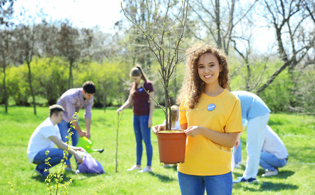 Arbor Day 2024 – Green Building Supply