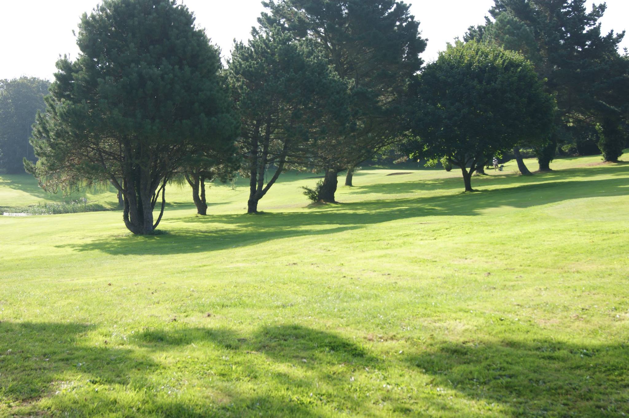 countries.walesの St. Pierre Country Club - Championship Old Courseでゴルフ ...