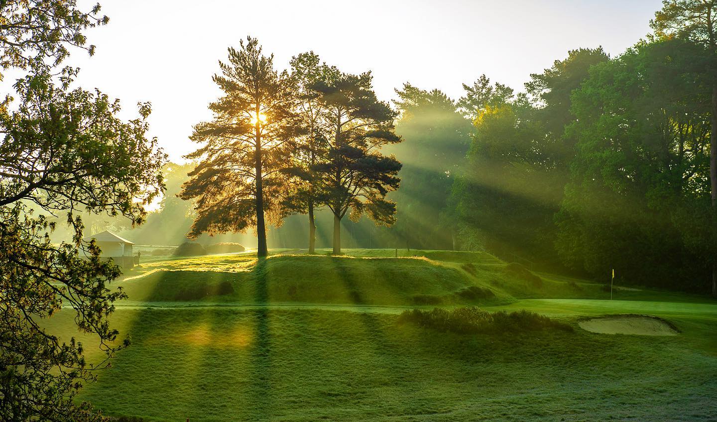 잉글랜드의 Sunningdale Heath에서 골프 플레이 · Greenfee365