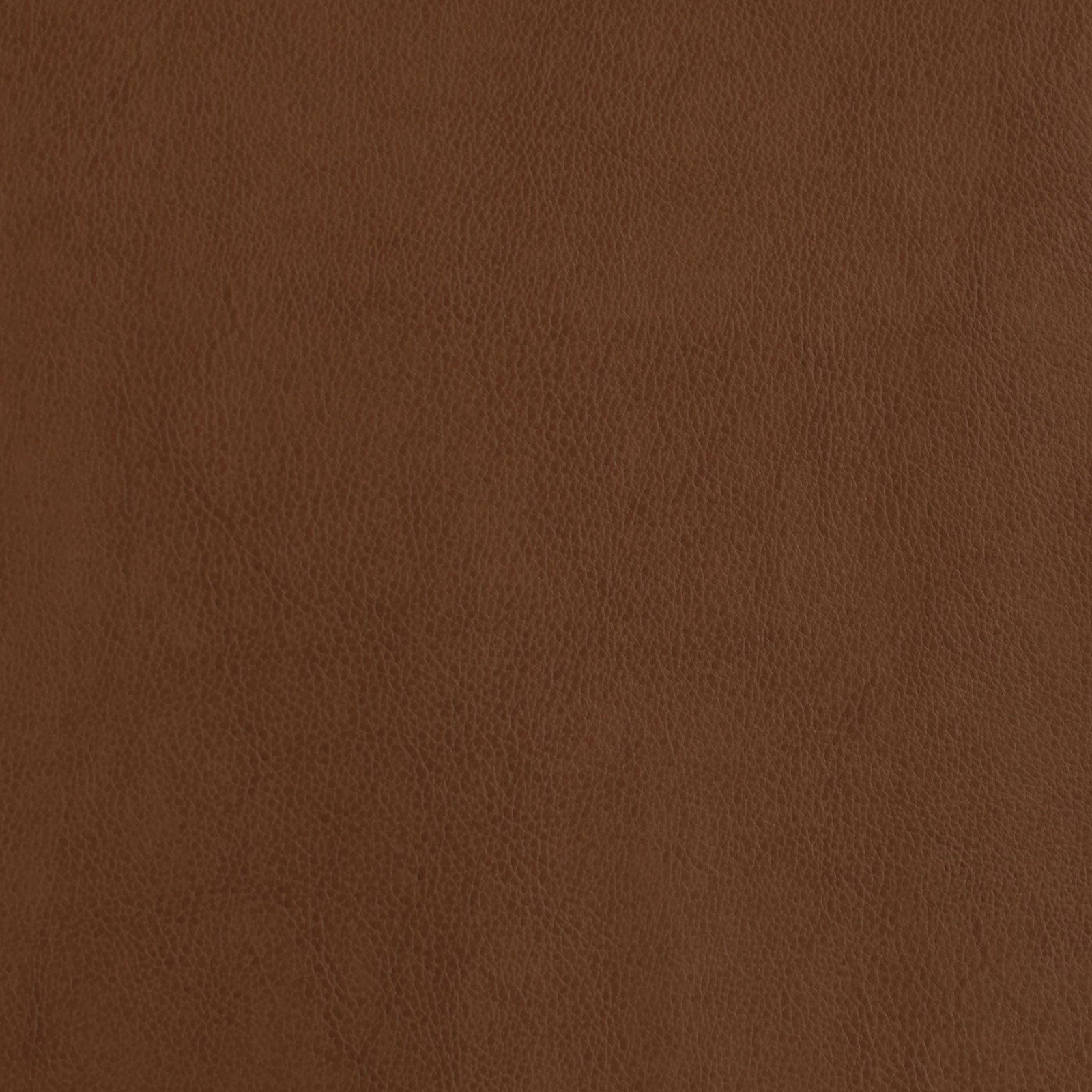 F2873 Amber | Greenhouse Fabrics