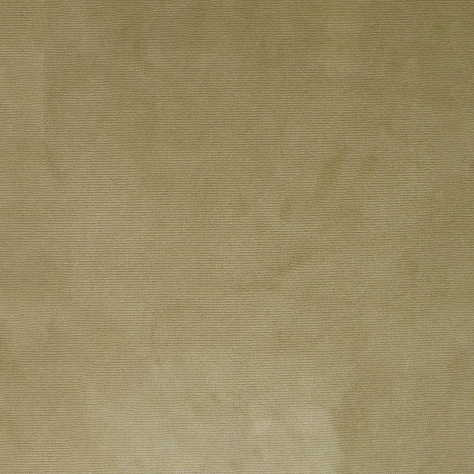 S4983 Champagne | Greenhouse Fabrics