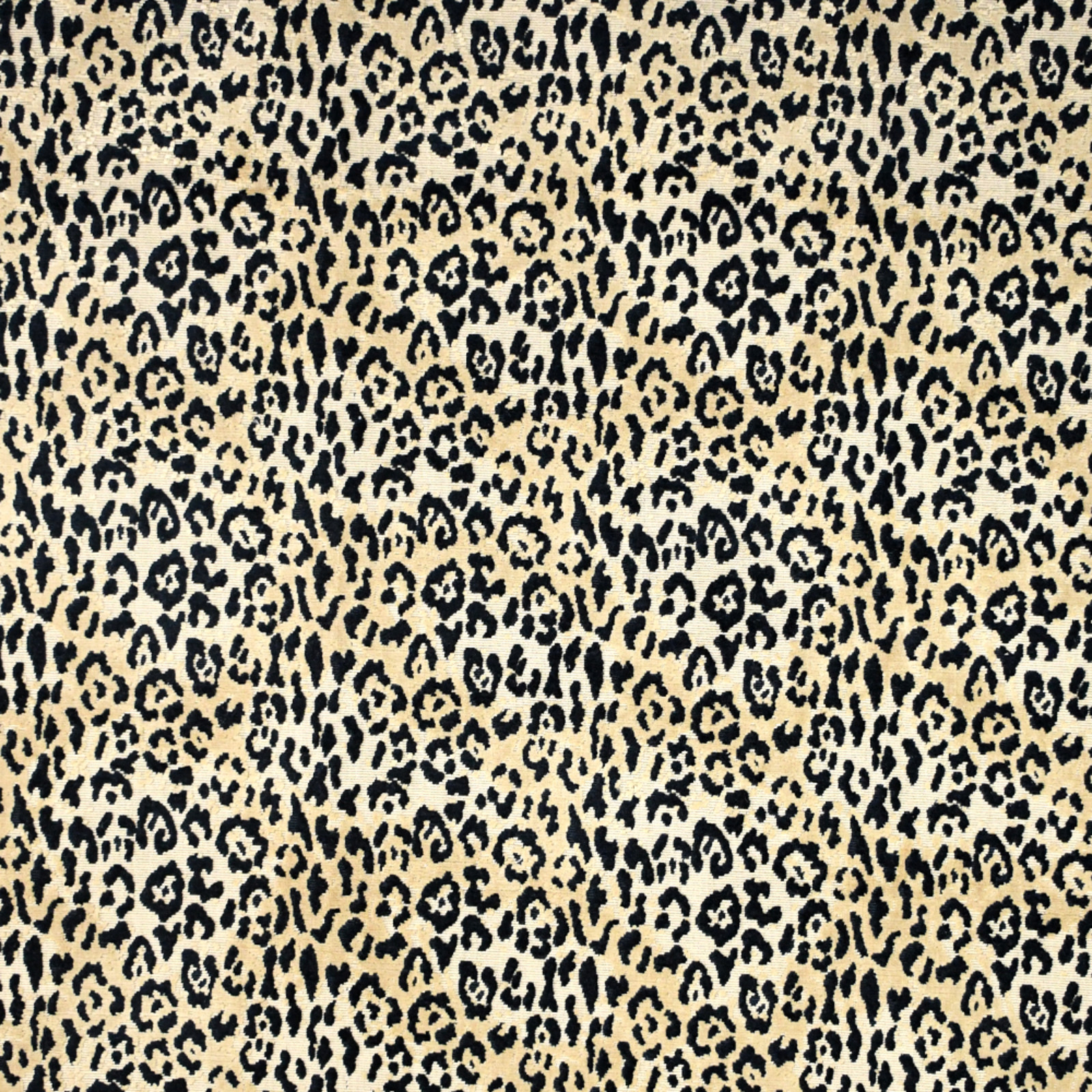 S5001 Coin | Greenhouse Fabrics