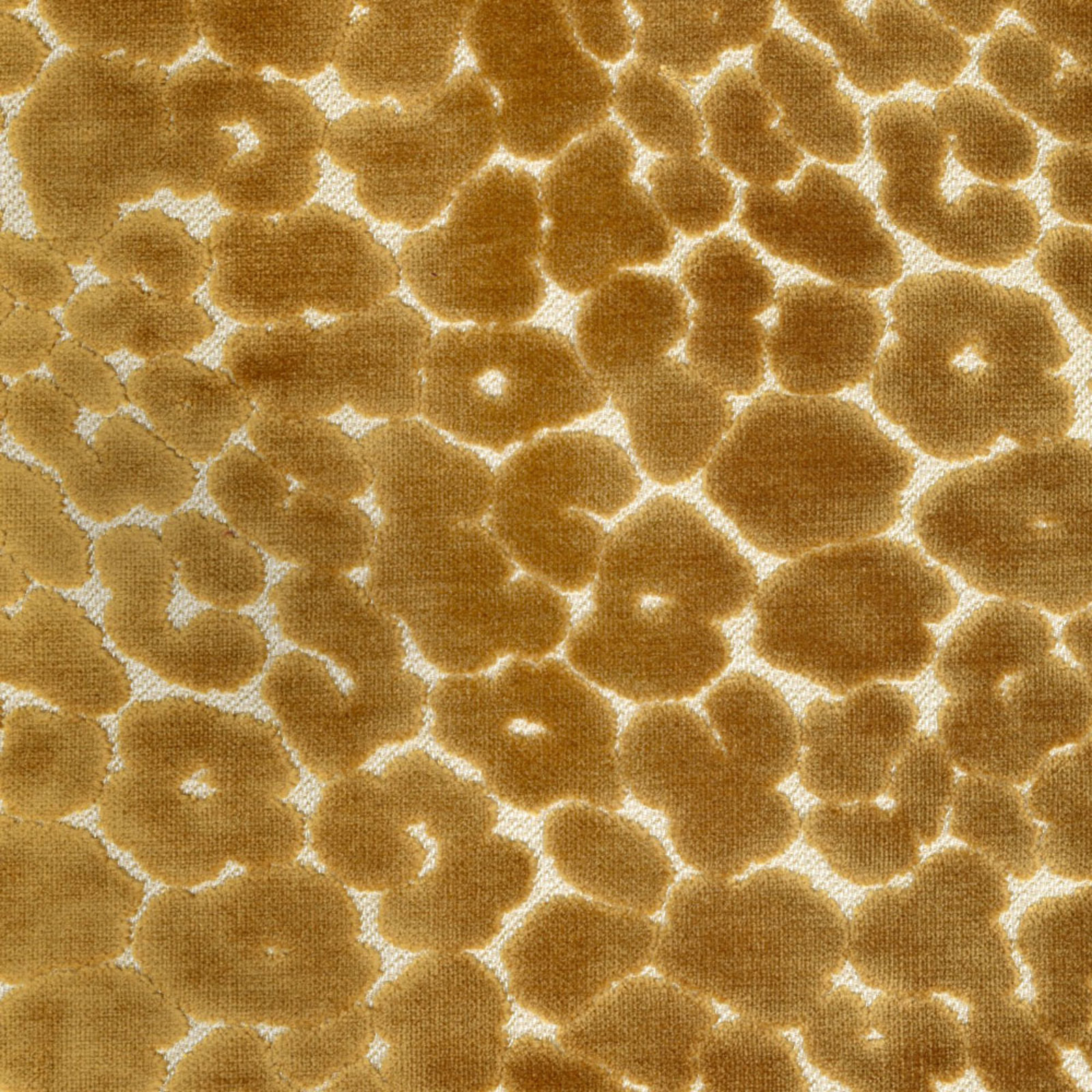 S5390 Amber | Greenhouse Fabrics