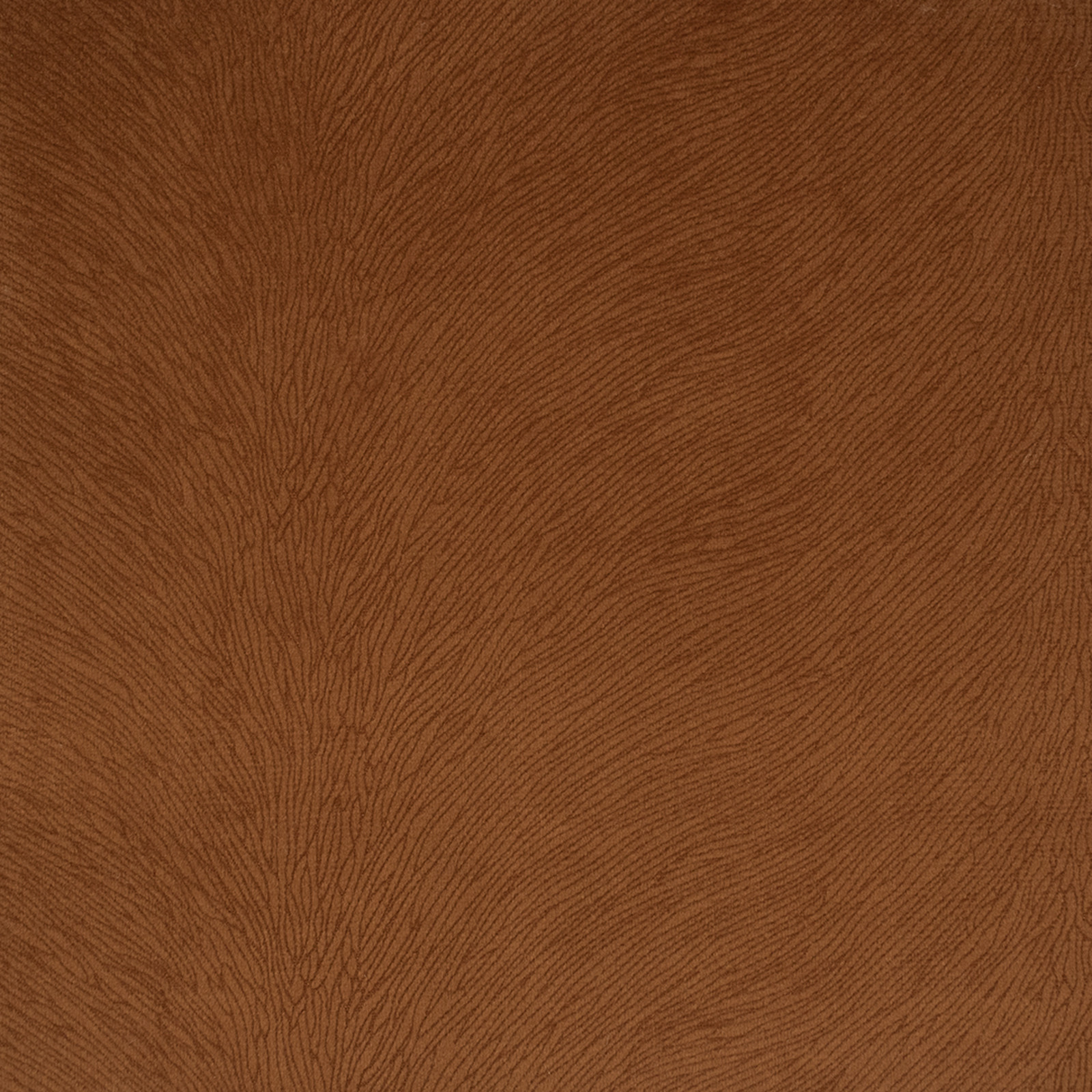 S5504 Curry | Greenhouse Fabrics