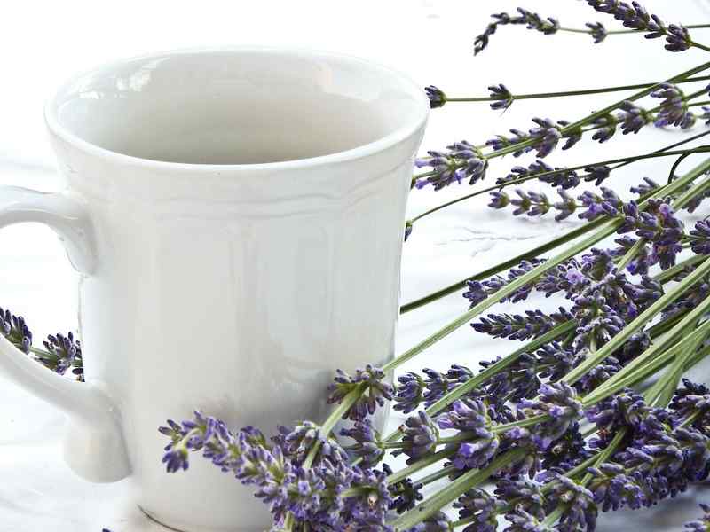 Lavanda: erba aromatica ricca di proprietà benefiche per la salute e il ...