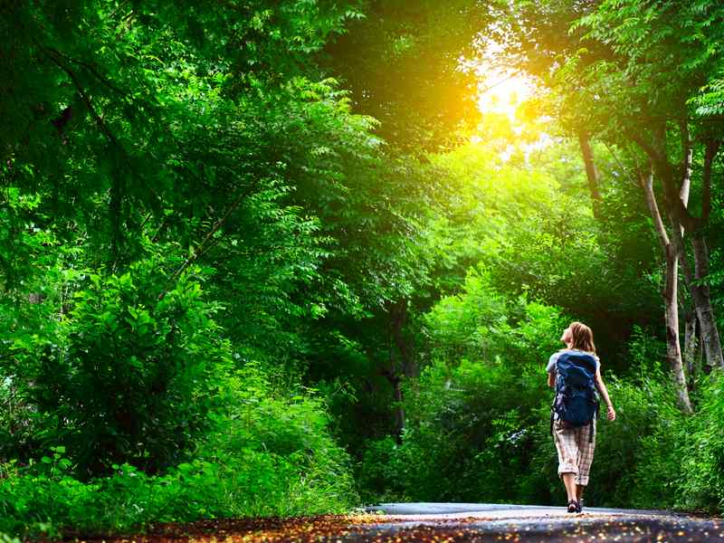 Ambiente, dal 5 all'11 giugno tutti ne parlano. E poi?