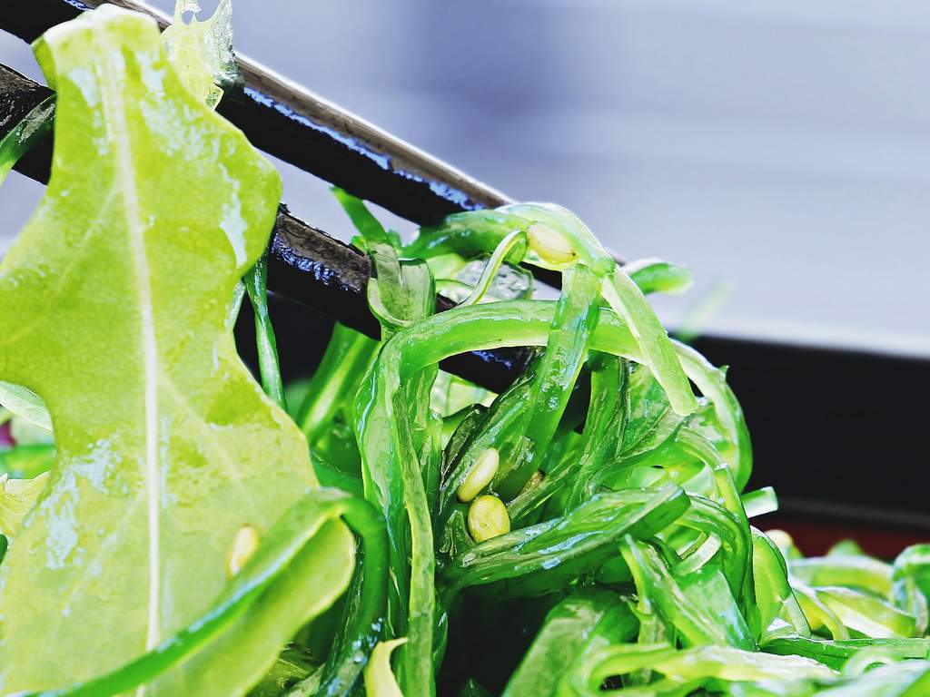 Alghe ottime per la nostra salute, ma attenzione alla biodiversità