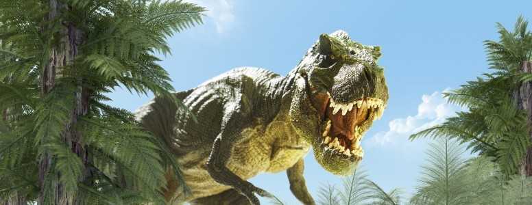 Pioneering T-rex study reaches milestone in treating children with type ...