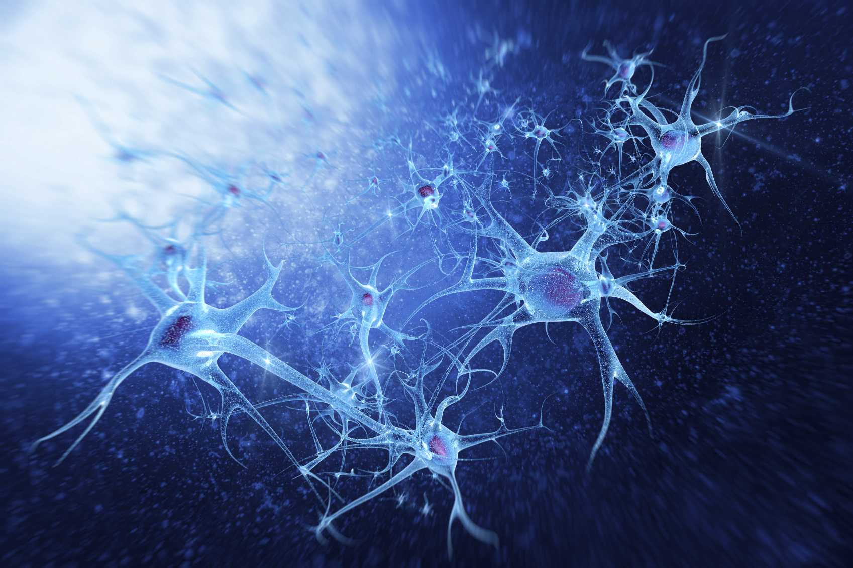 Nervous System And Diabetes