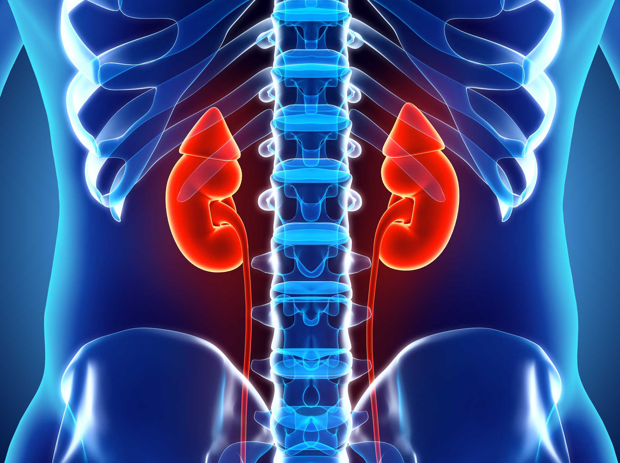 Screening for Kidney Disease - Diabetic Nephropathy Screening