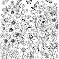 free minecraft enderman coloring pages