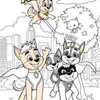 flash coloring pages on google