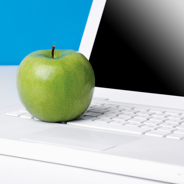 Fact And Opinion Sorting Cards