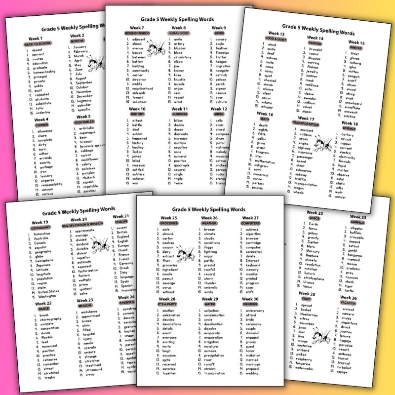 5th Grade Spelling Words