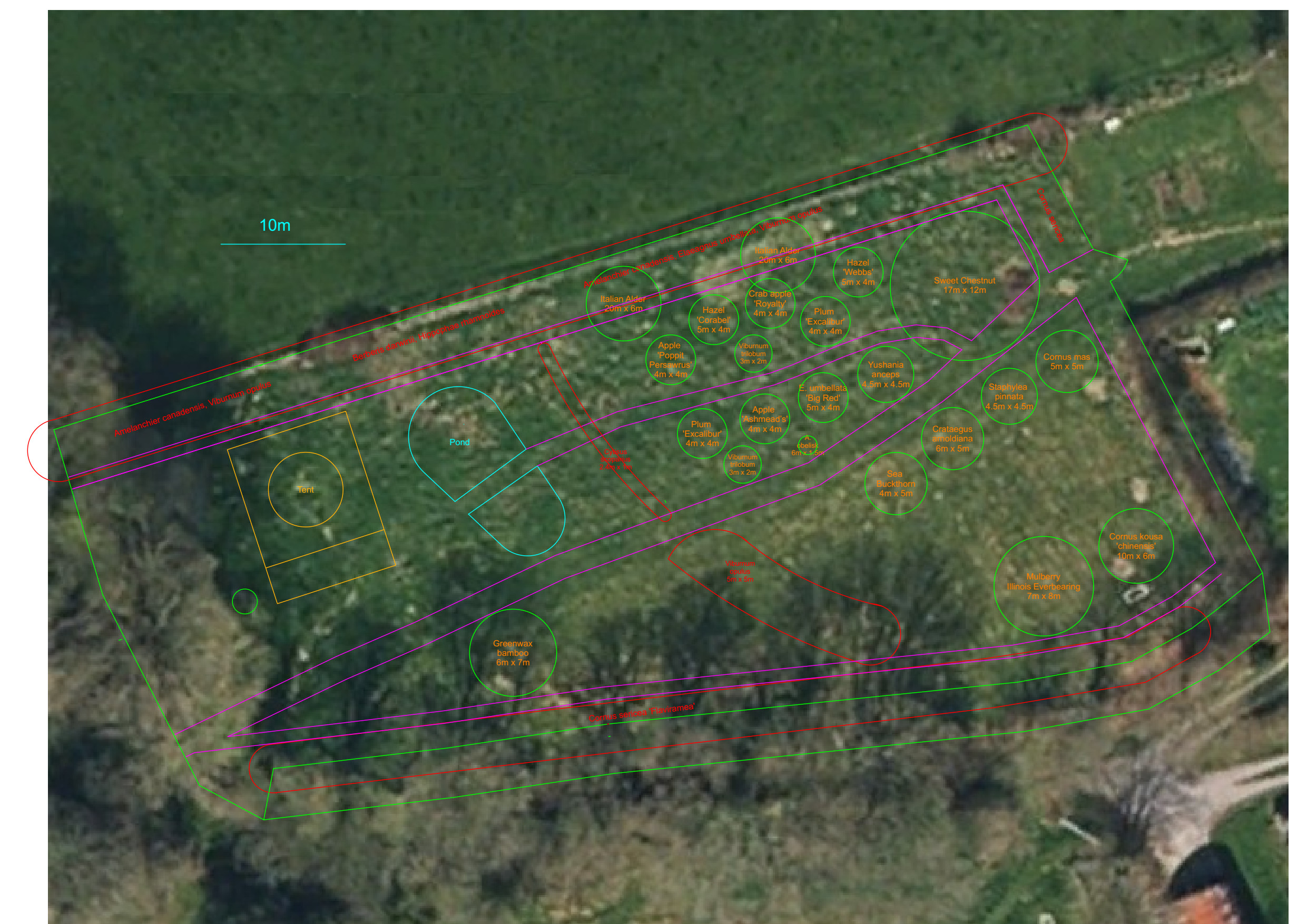Ornamental Forest Garden plan