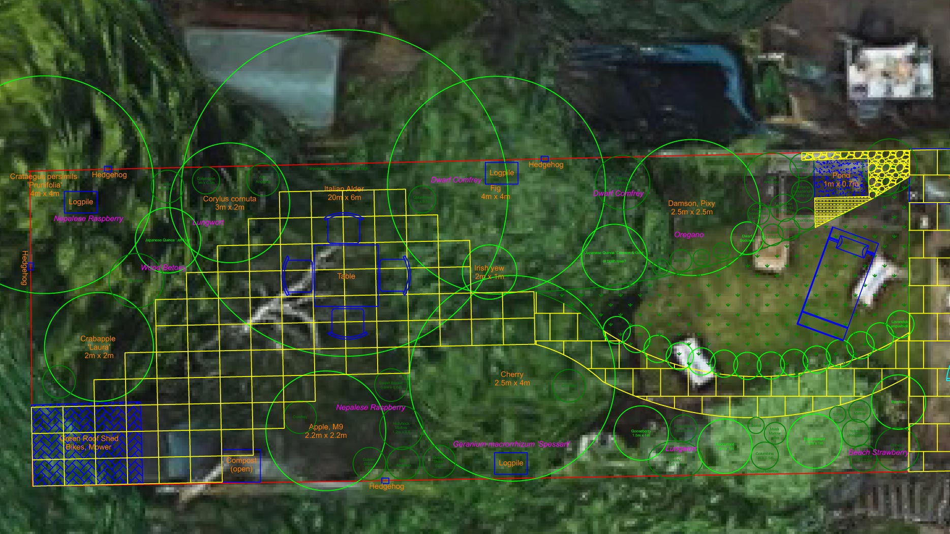 Overview of my forest garden design process