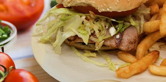 Señor Burro Delivery Menu | Order Online | 9519 San Pedro Ave San ...