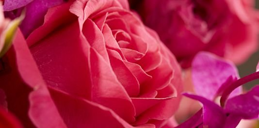 Blessing Bites Fish and Chips Delivery Menu | Order Online | 13551 SE ...