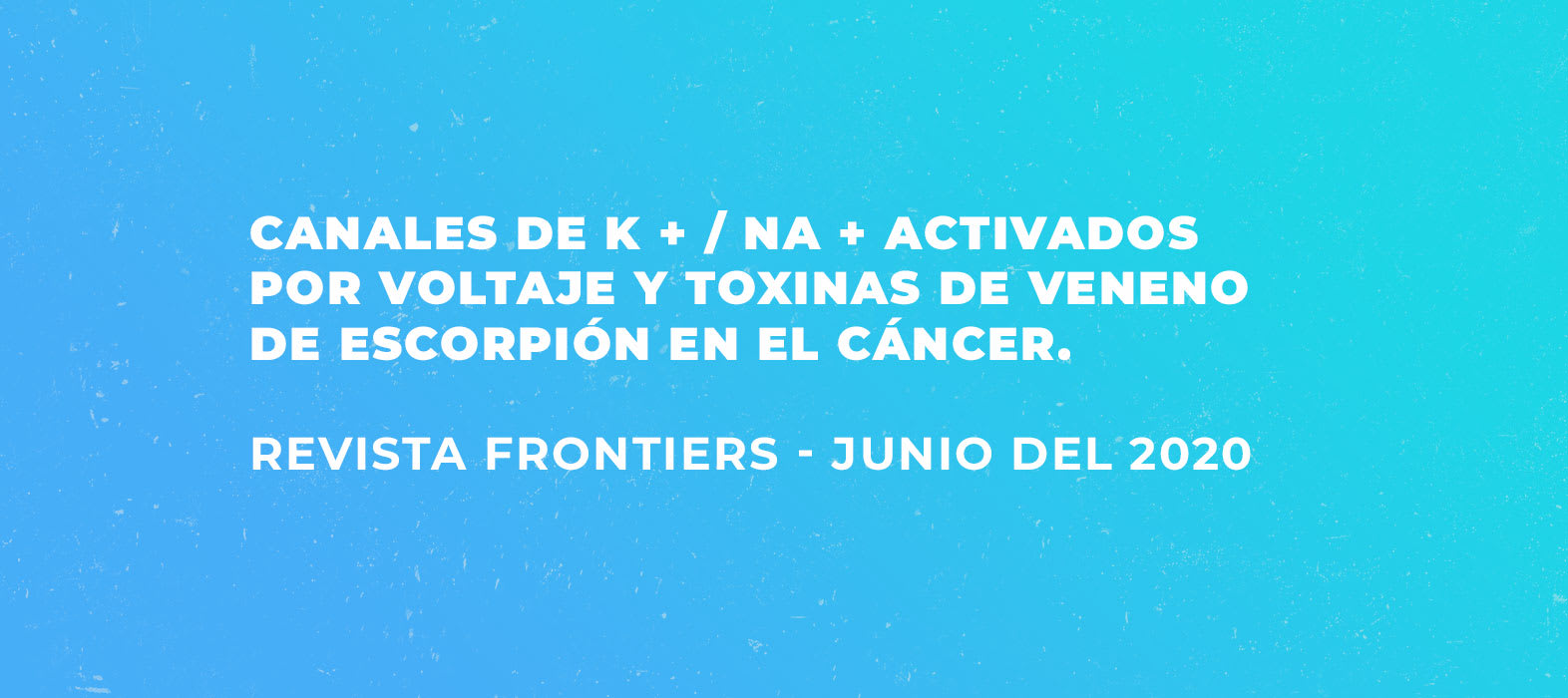 Veneno del Escorpión Azul: estudios que confirman sus efectos en el cáncer