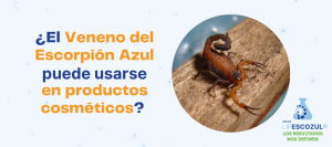 ¿El veneno del escorpión azul puede usarse en productos cosméticos?